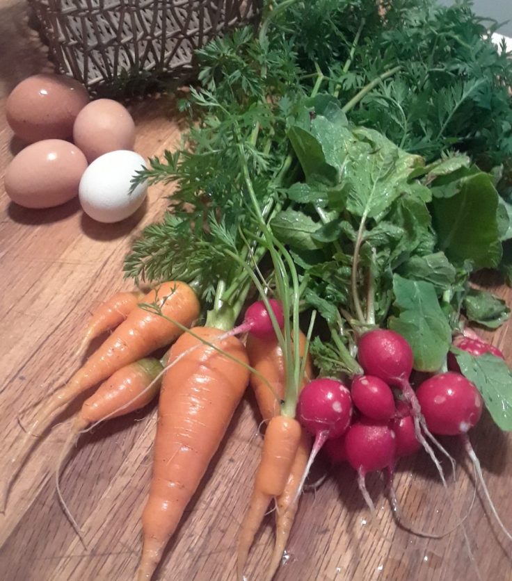 Digging Food – Gardening, Foraging, Cooking and Canning