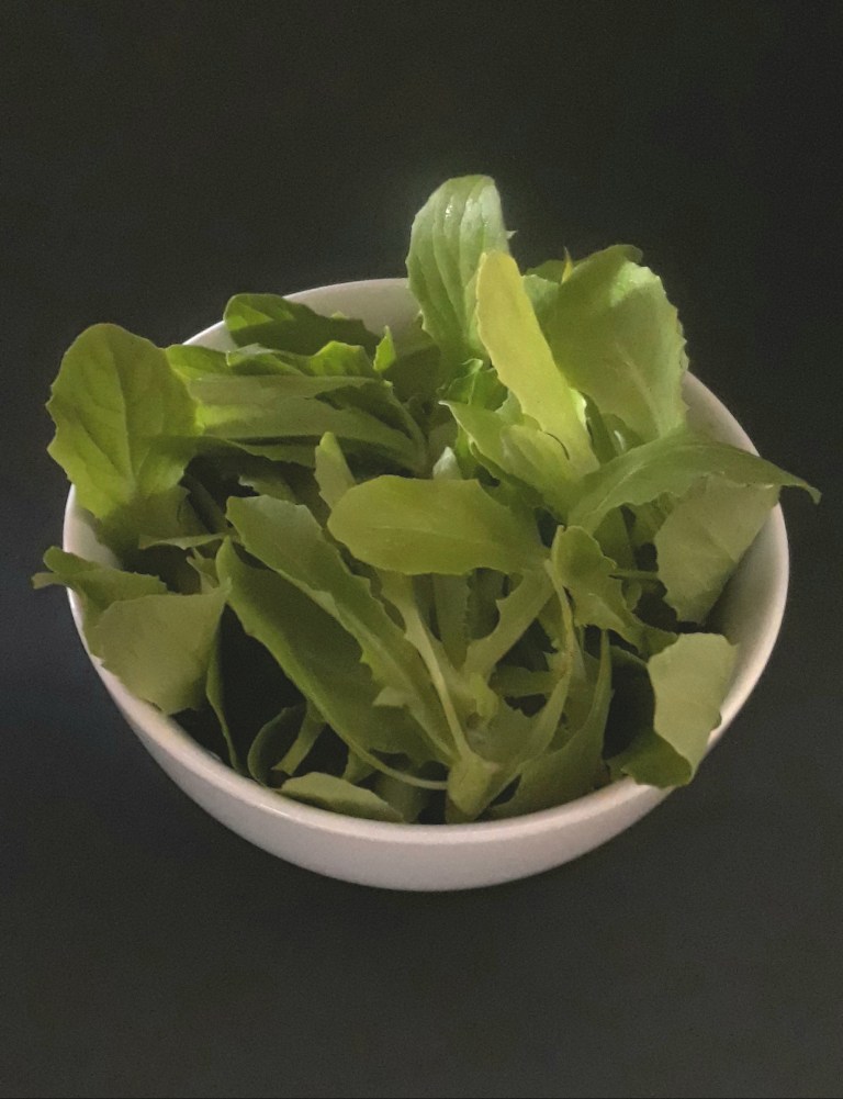 Sword Leaf Lettuce: A Multi-Use Super Green – Digging Food