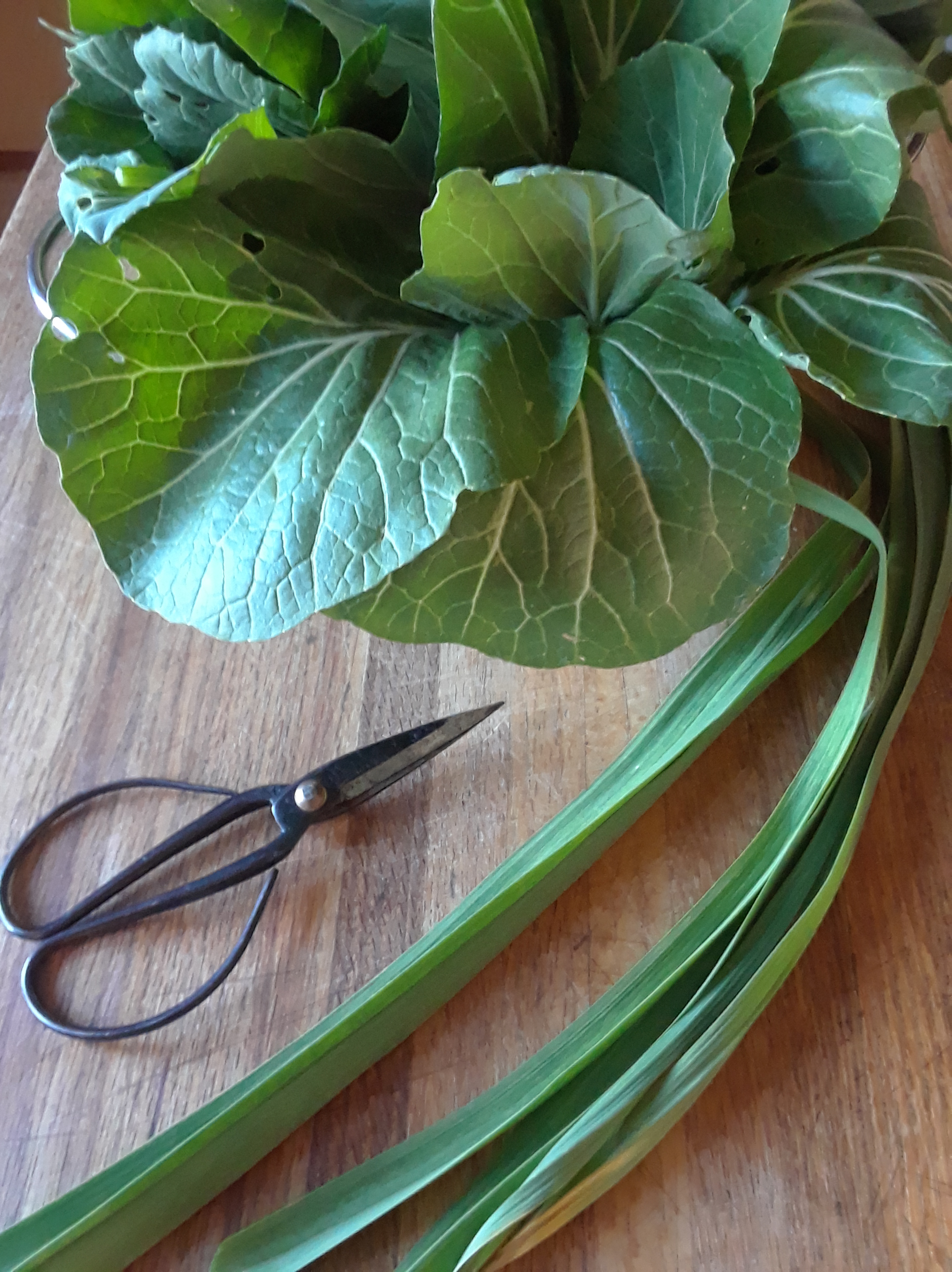 Grilled Baby Pak Choi Tied with Garlic Scapes – Digging Food