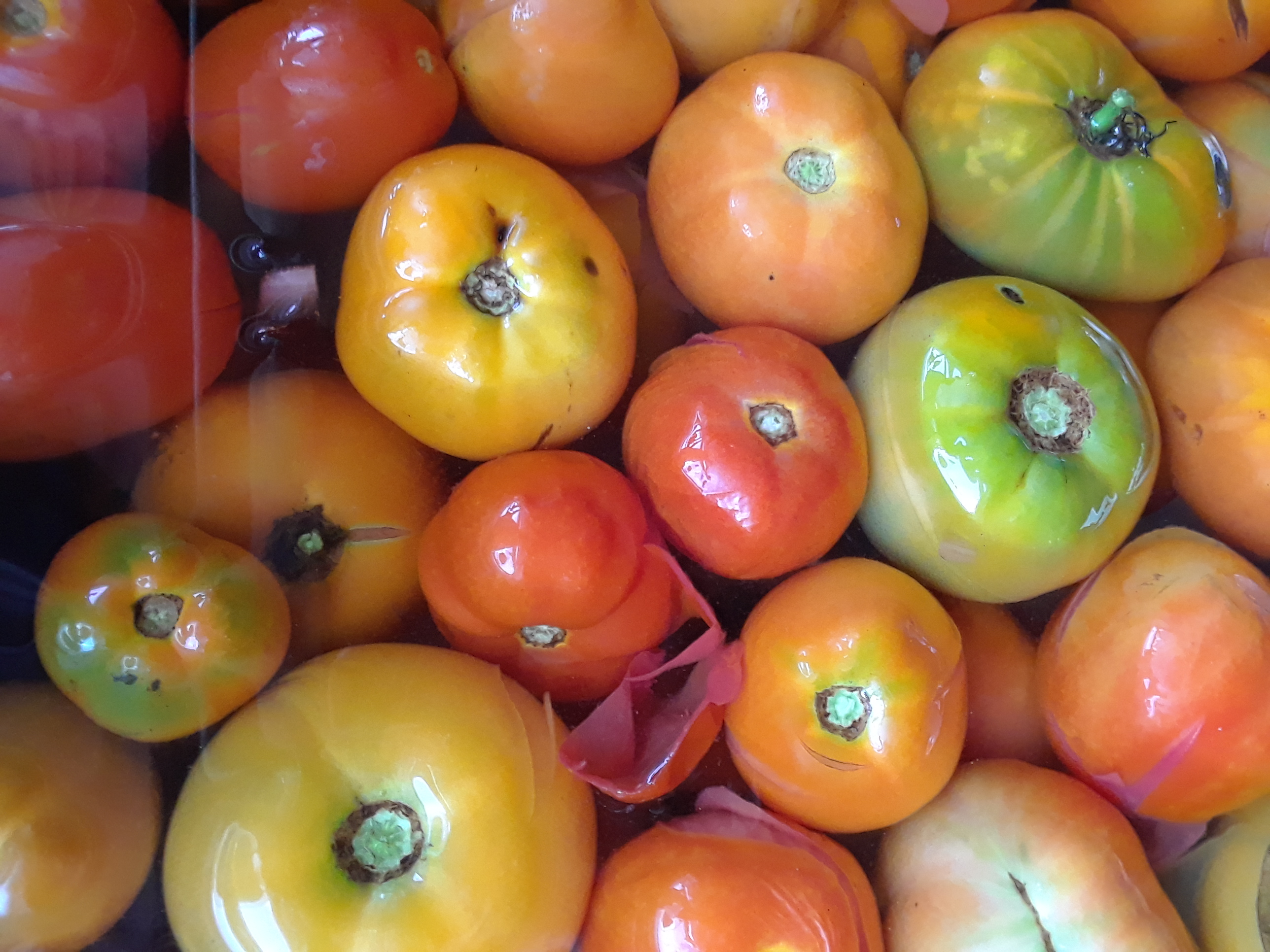 Mamaw Kitty’s “Mater, Tater, Onion Soup” – Digging Food