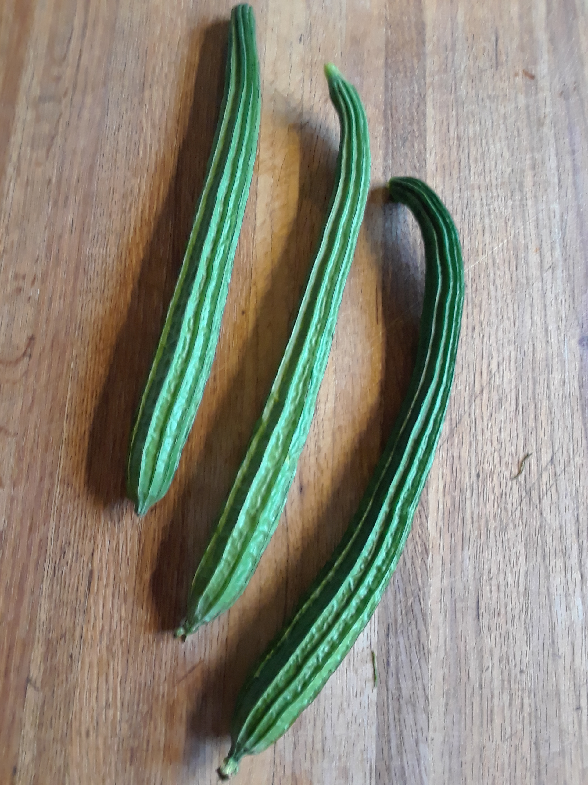 I Love Luffa – Digging Food