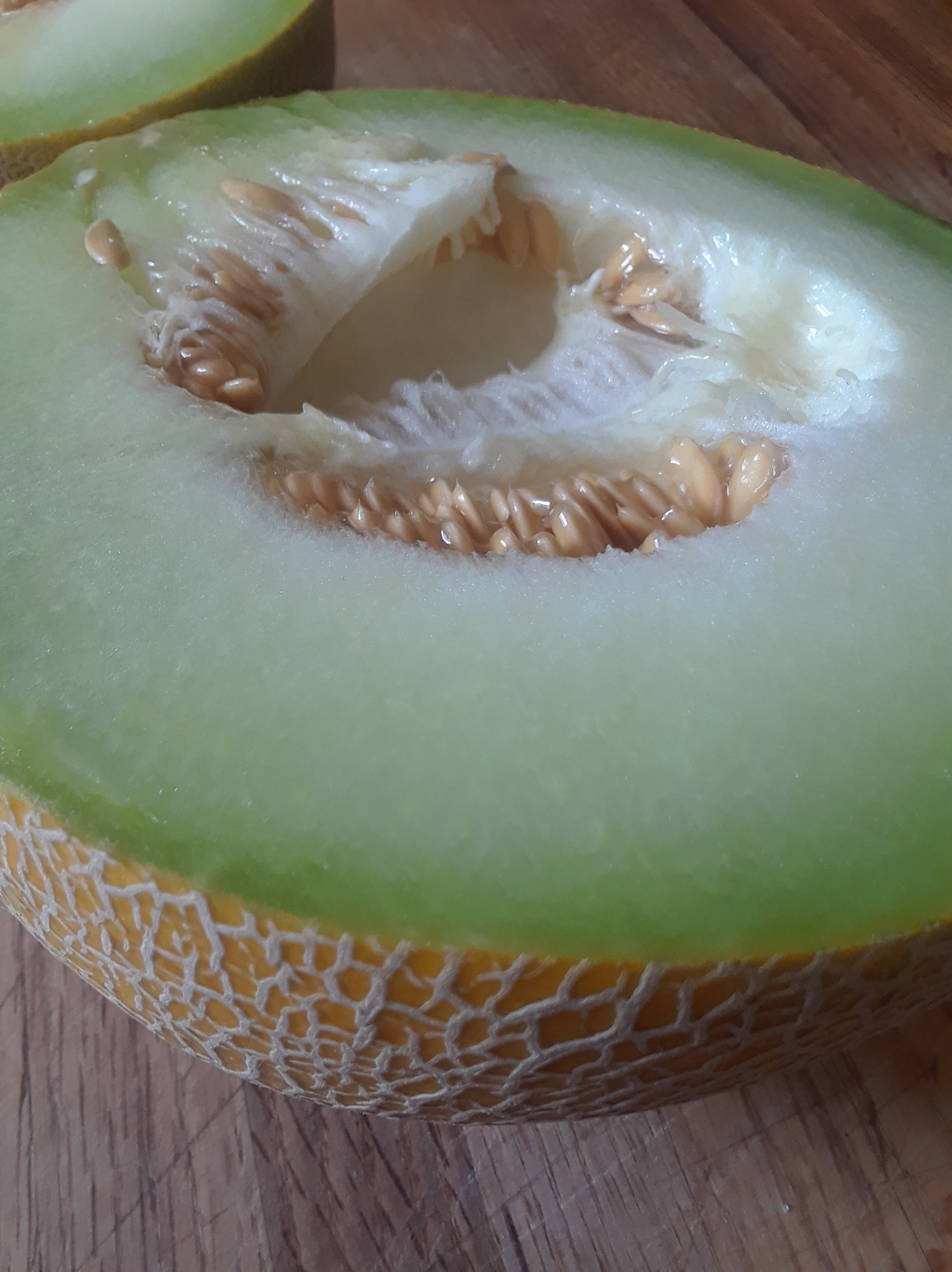 Mini-Melon Trials – Digging Food