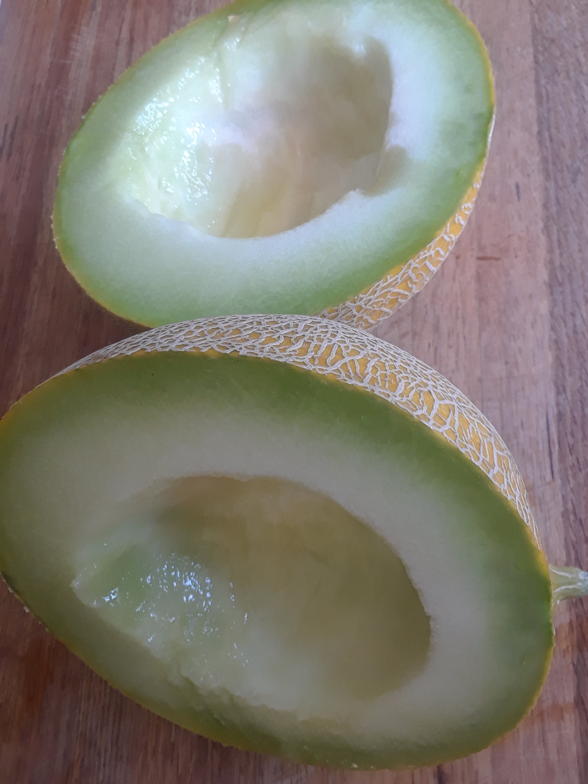 Mini-Melon Trials – Digging Food